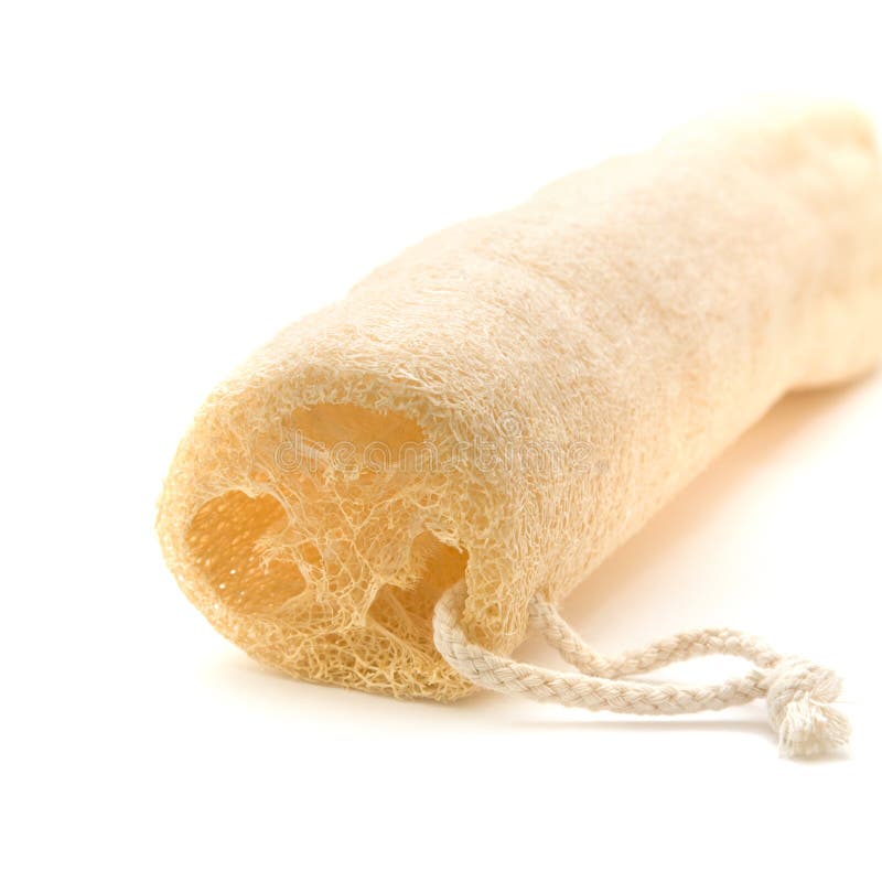 Natural bath luffa stock image. Image of fiber, sponge - 14591783