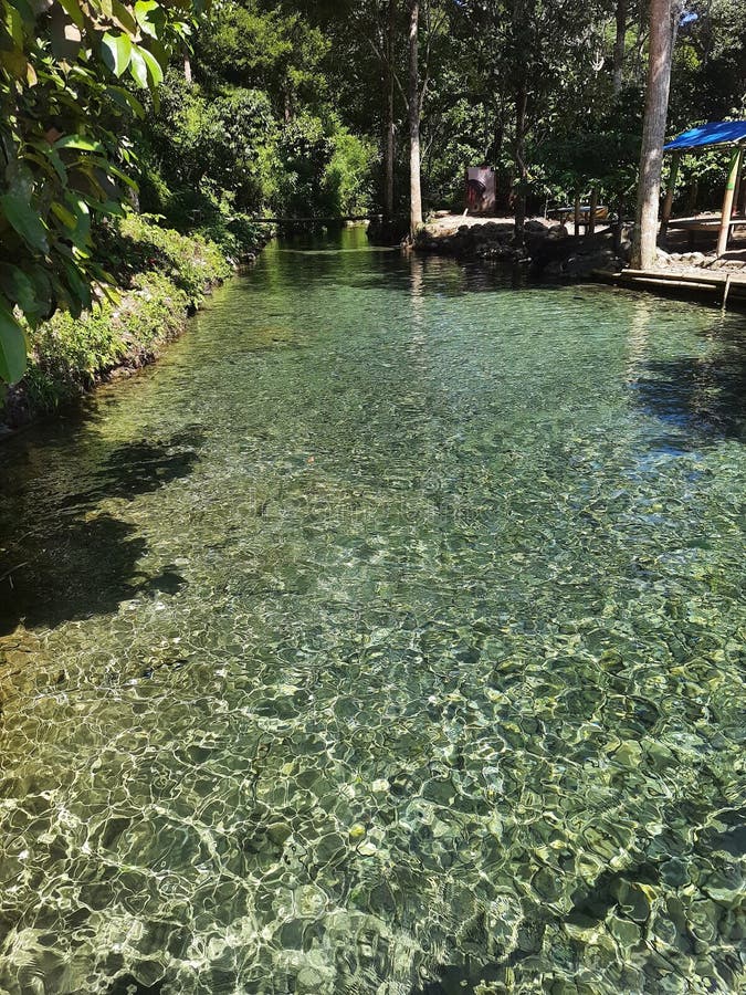 Natural bathing place stock image. Image of water, forest - 271182933