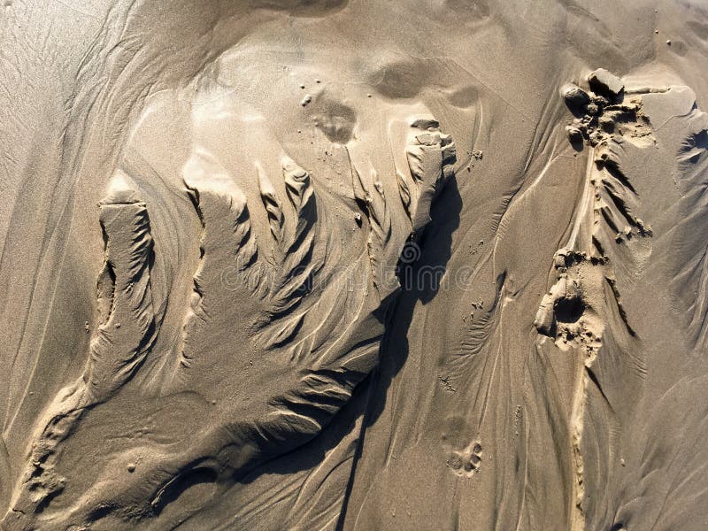 Natural Beach Abstract Sand Pattern Stock Photo - Image of sunlight ...