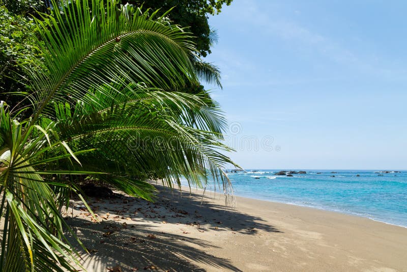 A natural beach stock image. Image of sand, natural, america - 63652825