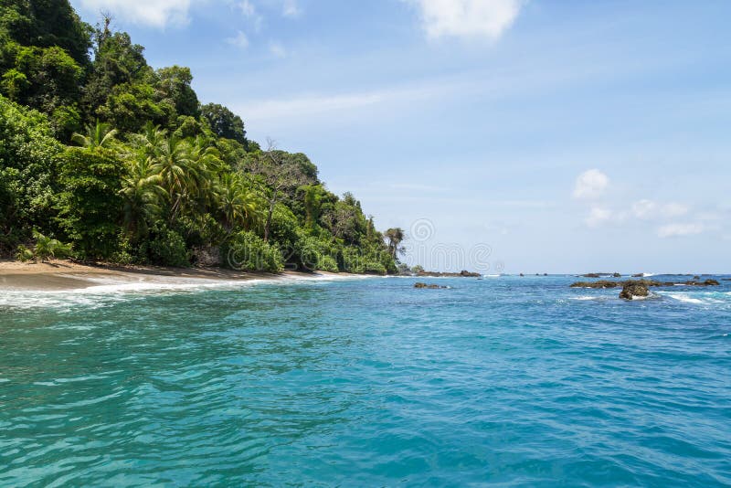 A natural beach stock photo. Image of summer, background - 63652846