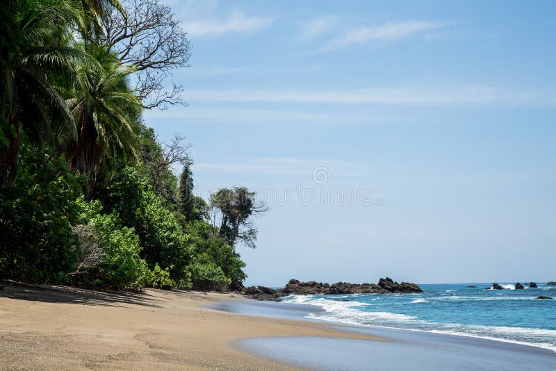 A natural beach stock photo. Image of summer, beach, nature - 63891158