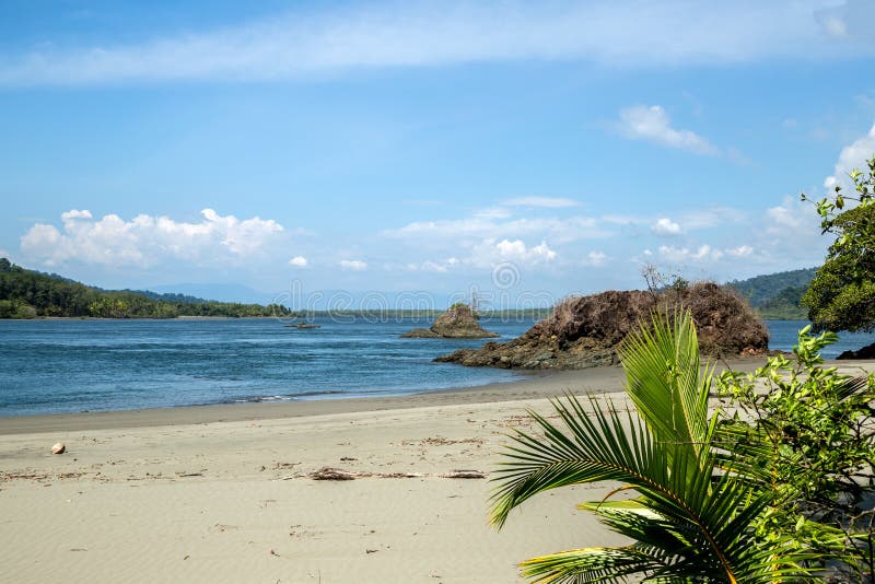 A natural beach stock image. Image of nature, america - 63992719