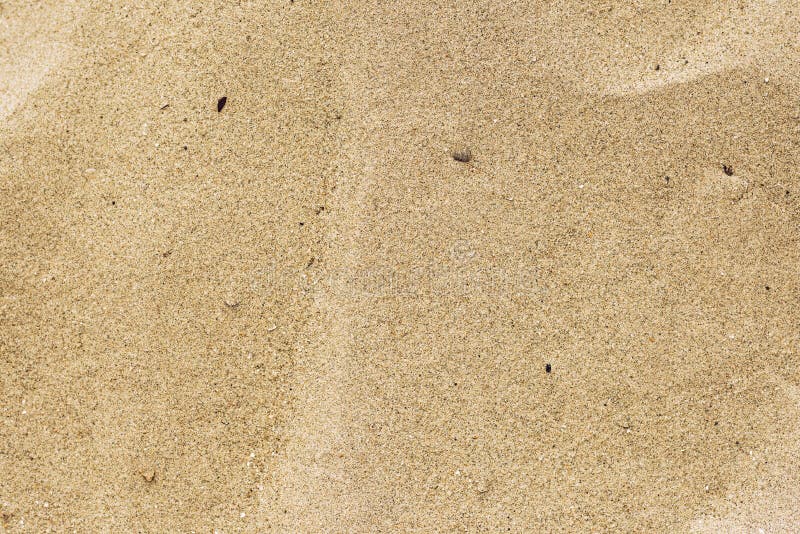 Natural beach sand texture stock photo. Image of summer - 95003906