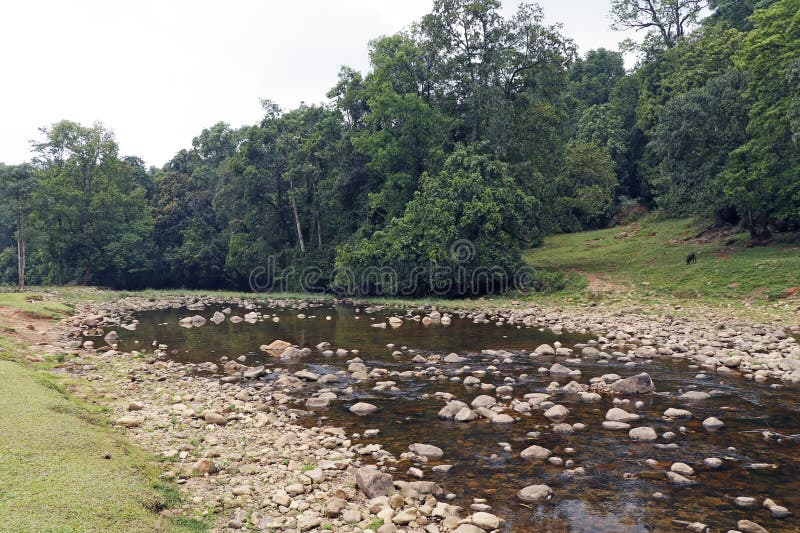 Natural Beautiful Forest and River with Pebble Stone in Kerala Stock ...