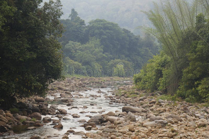 Natural Beautiful Forest and River with Pebble Stone in Kerala Stock ...