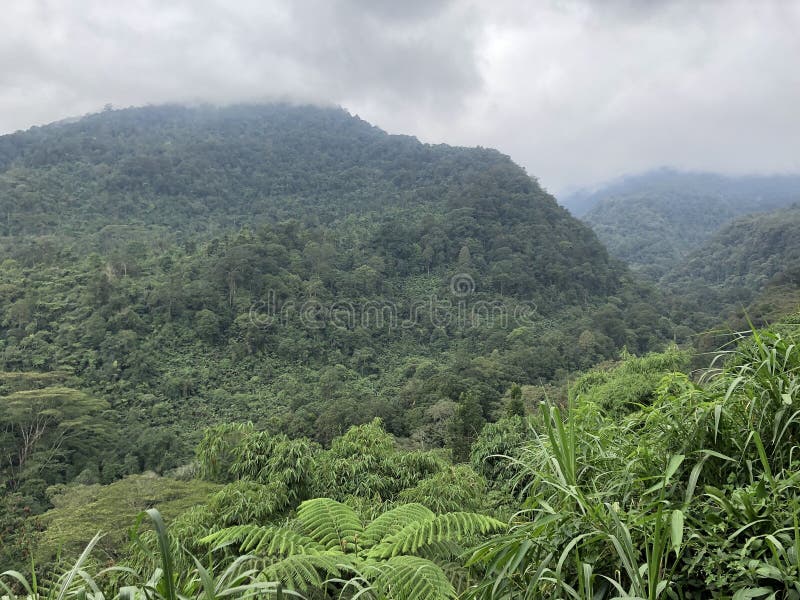 Natural and Beautiful Surface Pattern of Rainforest Mountain Cliff ...