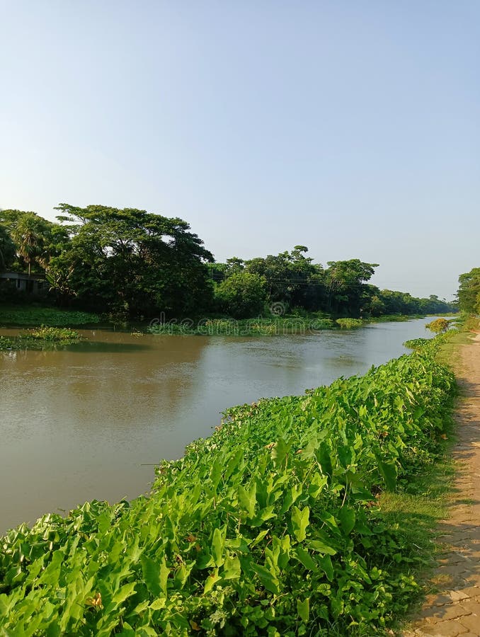 Natural Beautiful View in River Side Stock Photo - Image of waterway ...