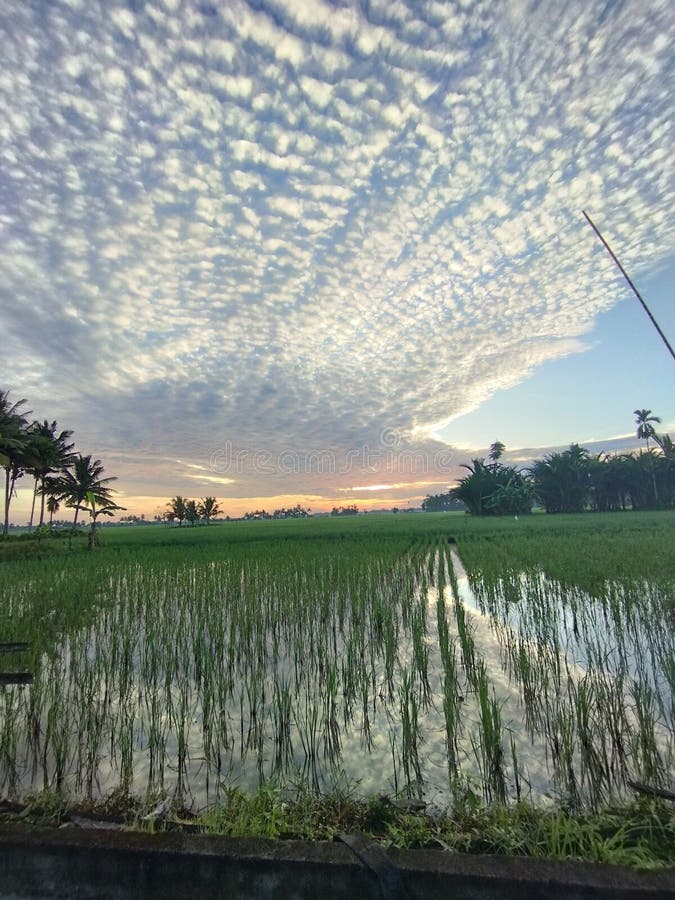 The Natural Beauty of Aceh, for Indonesia Stock Image - Image of ...