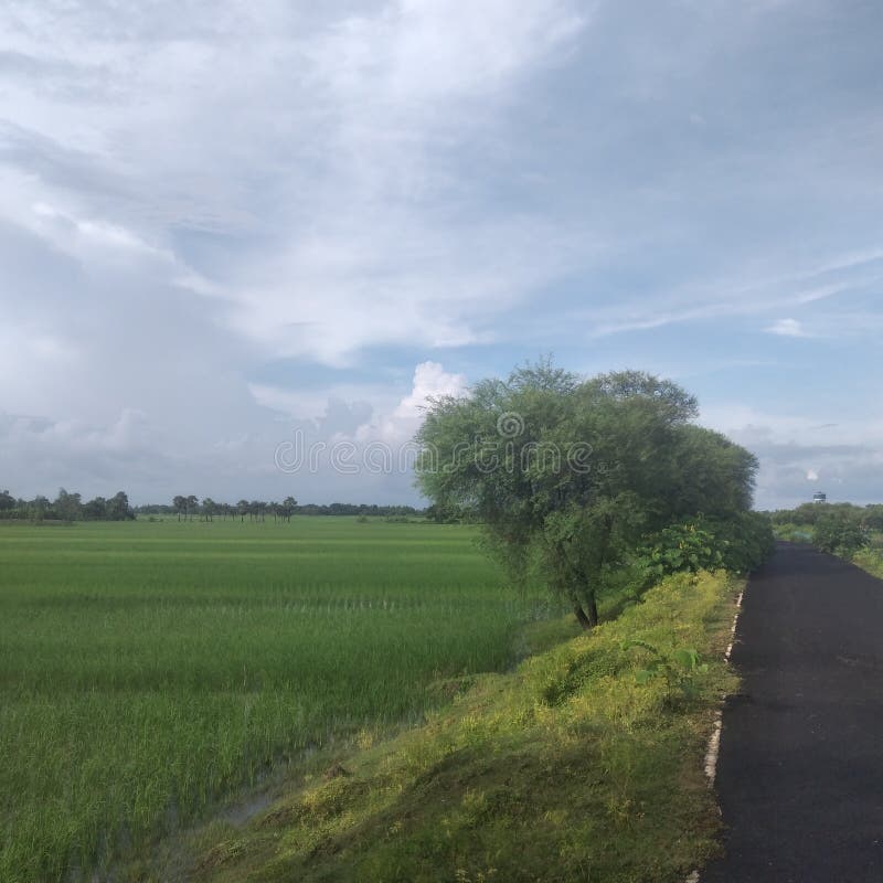 Natural Beauty on Both Sides of the Village Road Stock Image - Image of ...