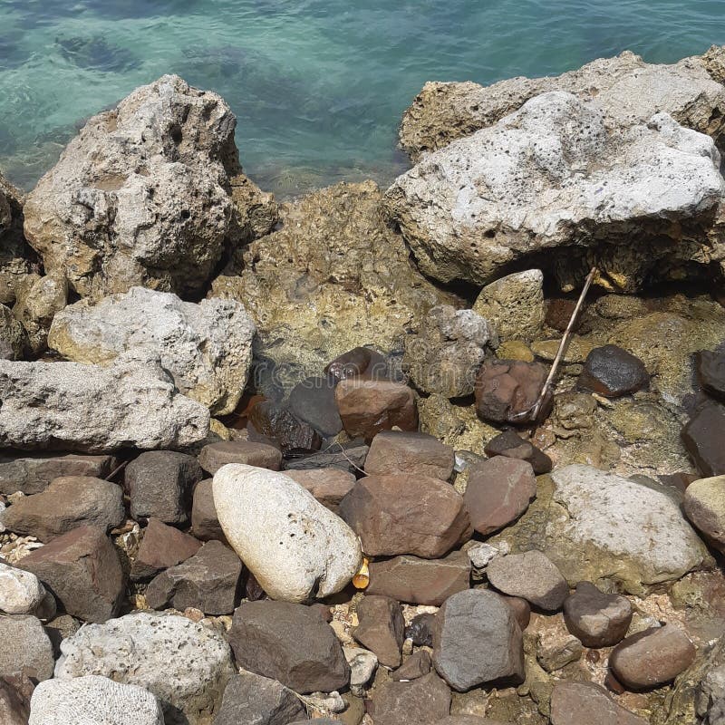 The Natural Beauty of Coastal Coral Rocks Stock Photo - Image of ...