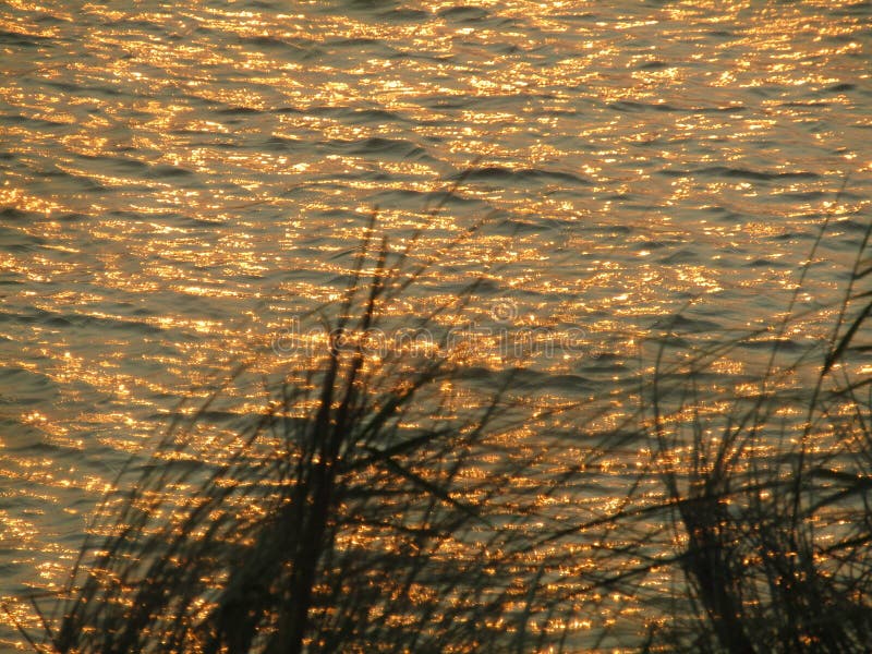 Golden water stock photo. Image of beauty, evening, natural - 121970506