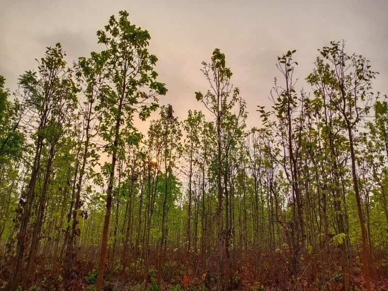 Natural Beauty with a Excellent View Stock Photo - Image of prairie ...