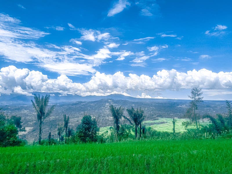 The Natural Beauty of Hills and Fields Stock Image - Image of beauty ...