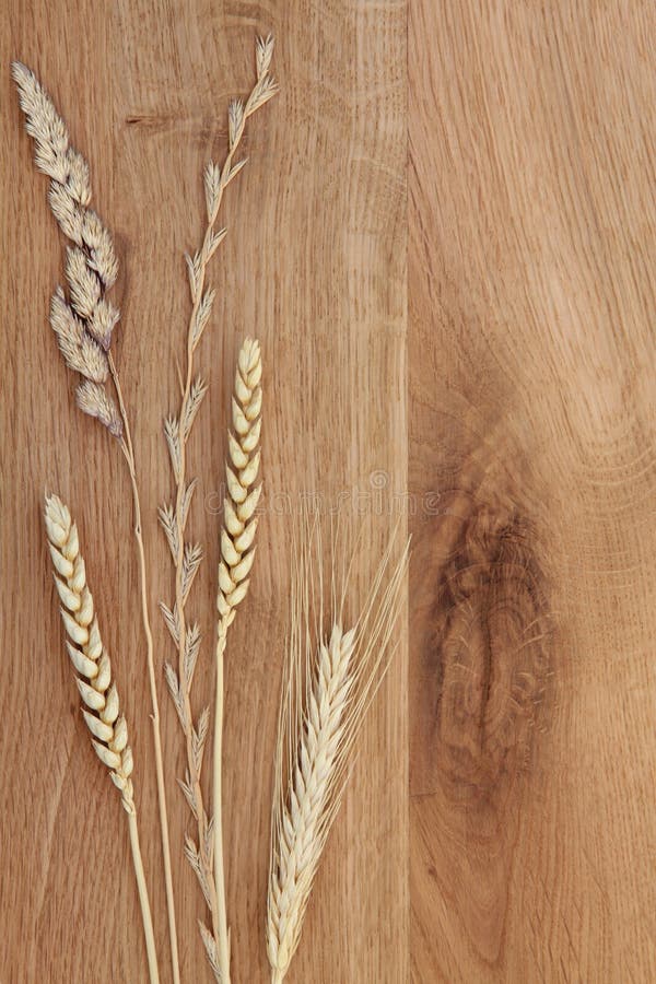 Natural Beauty stock photo. Image of wild, barley, knot - 35213934