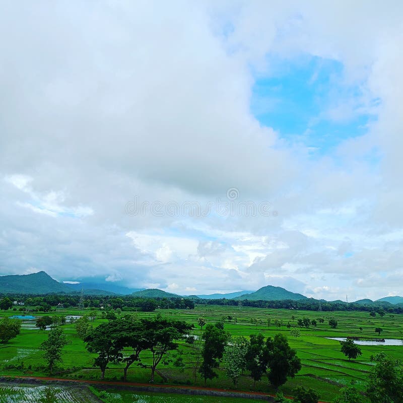 Natural Beauty Odisha Country Image Stock Photo - Image of natural ...