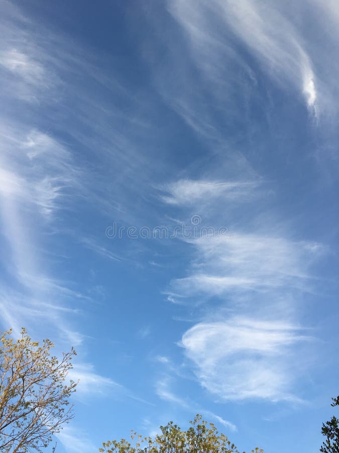 Natural beauty stock photo. Image of random, natural - 144559878