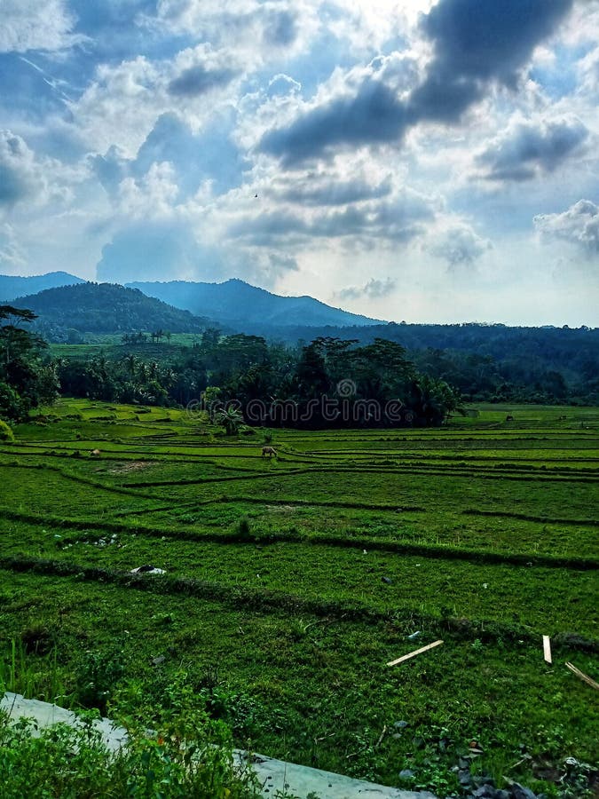 Natural Beauty that Still Beautiful Stock Photo - Image of soil ...