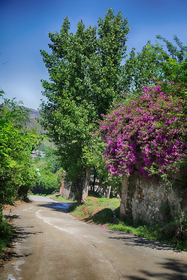 Natural Beauty of Swat Valley Pakistan Stock Image - Image of pakistan ...