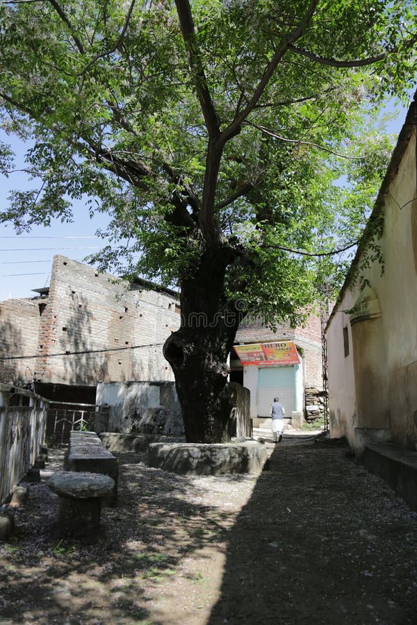 Natural Beauty of Swat Valley Pakistan Editorial Photography - Image of ...