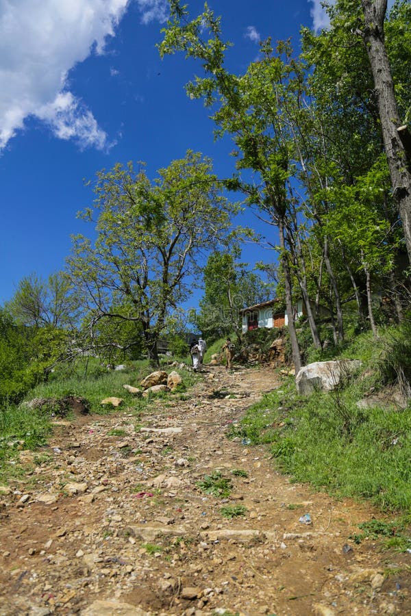 Natural Beauty of Swat Valley Pakistan Editorial Stock Photo - Image of ...