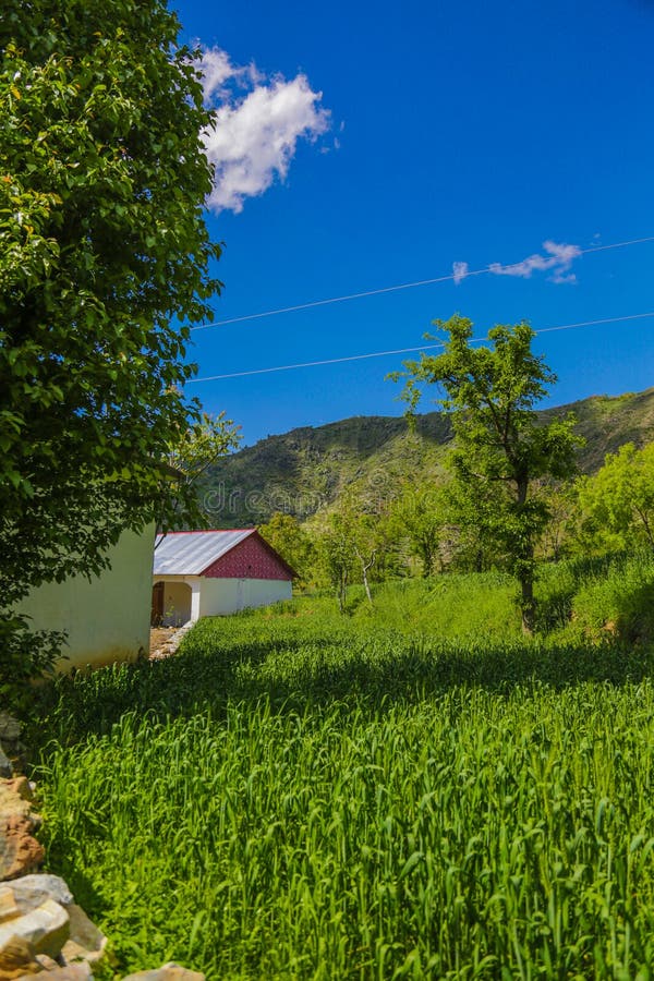 Natural Beauty of Swat Valley Pakistan Editorial Photography - Image of ...