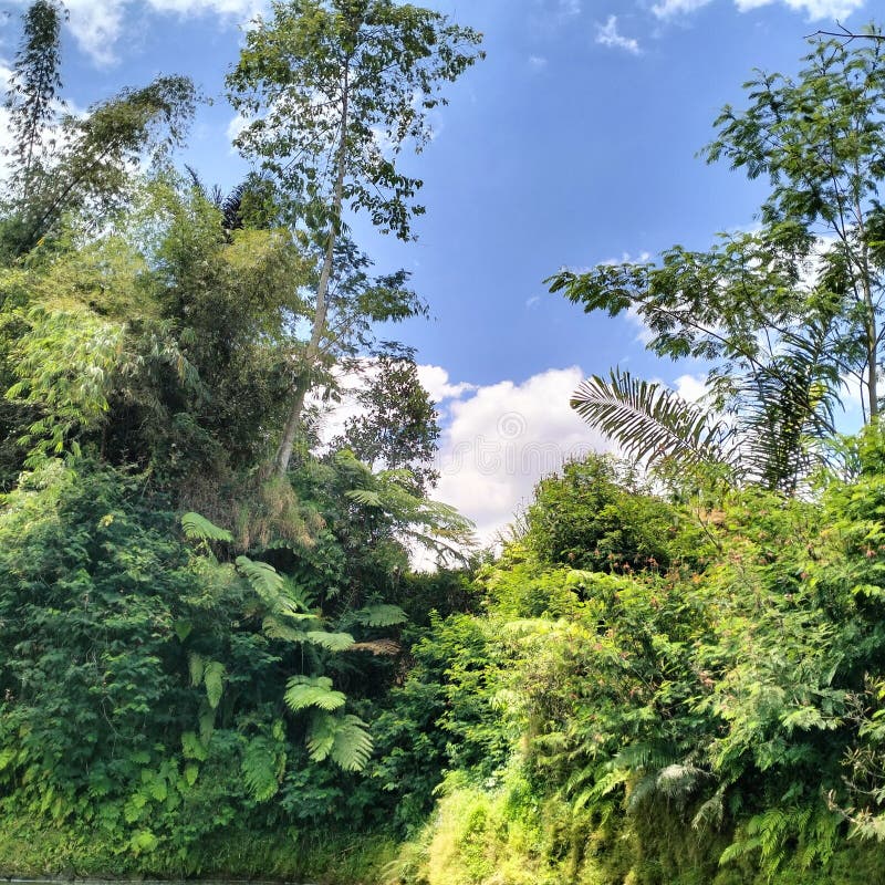 The Natural Beauty is Truly Amazing Stock Photo - Image of natural ...