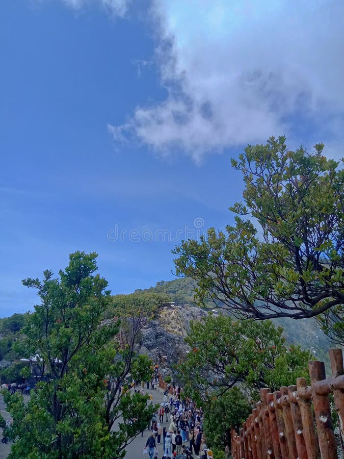 Enjoying Nature in the Midst of the Crowd Editorial Photography - Image ...