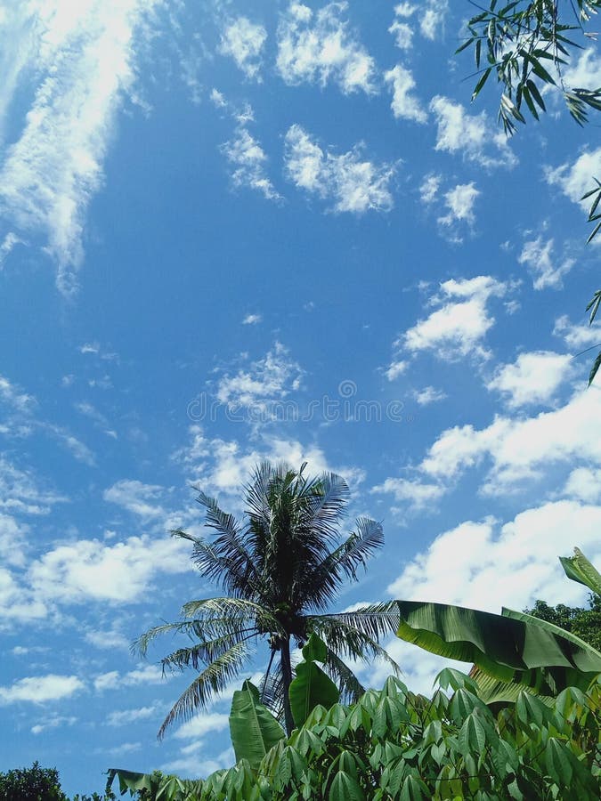 The Natural Beauty is Very Extraordinary and Amazing Stock Image ...