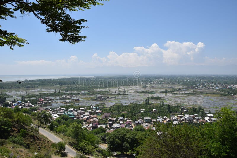 Natural Beauty View with Blue Sky and Green Trees Stock Image - Image ...