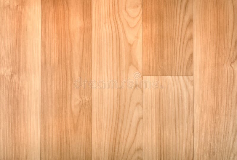 Natural beech texture stock photo. Image of effects, photographic ...