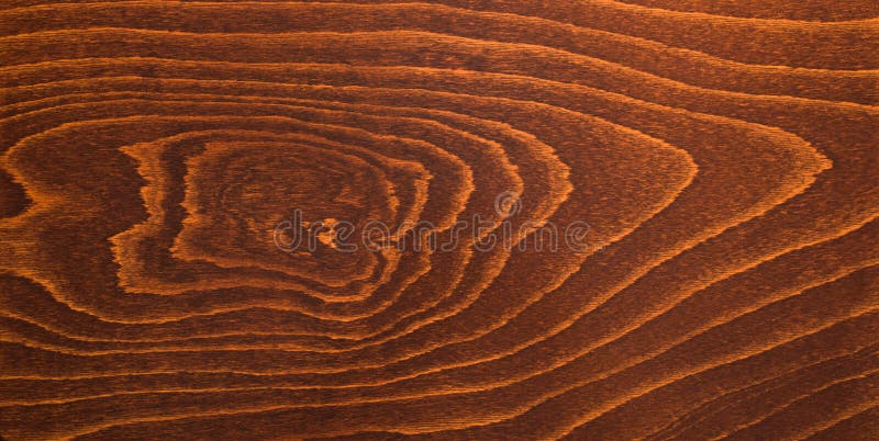 Natural beech texture stock photo. Image of wooden, natural - 86697972