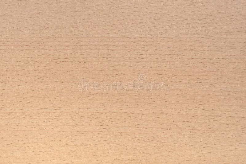 Natural Beech Veneer Wood Texture, Background Pattern. Stock Photo ...