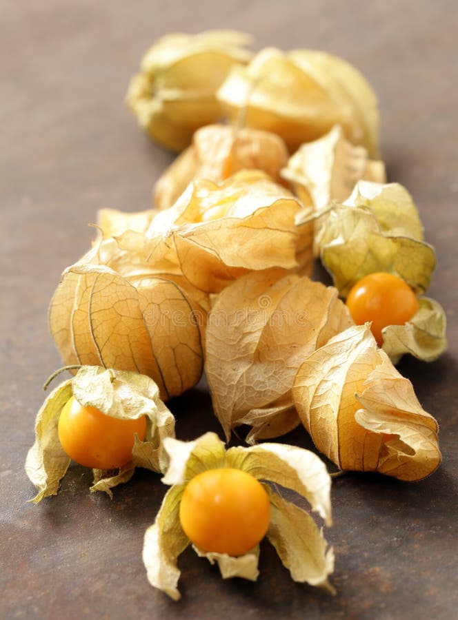 Natural Berry Cape Gooseberry Stock Image - Image of ripe, gooseberry ...