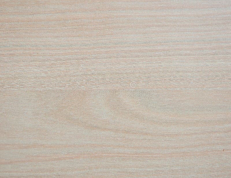 Birch plywood pattern stock image. Image of texture, hardwood - 34350545