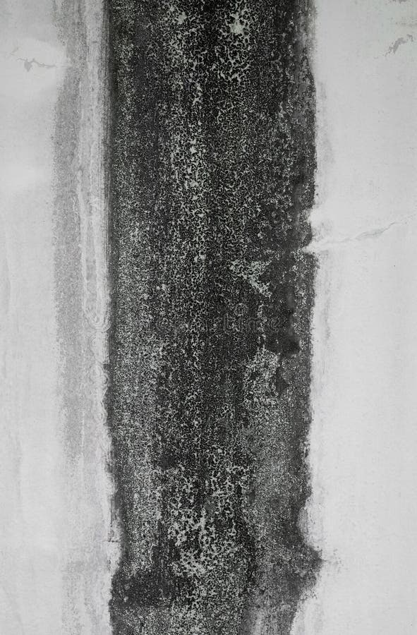 Algae texture stock photo. Image of grass, field, flora - 29052854