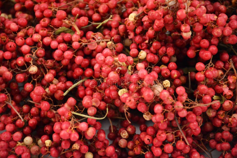 Natural black pepper stock image. Image of horizontal - 98326685