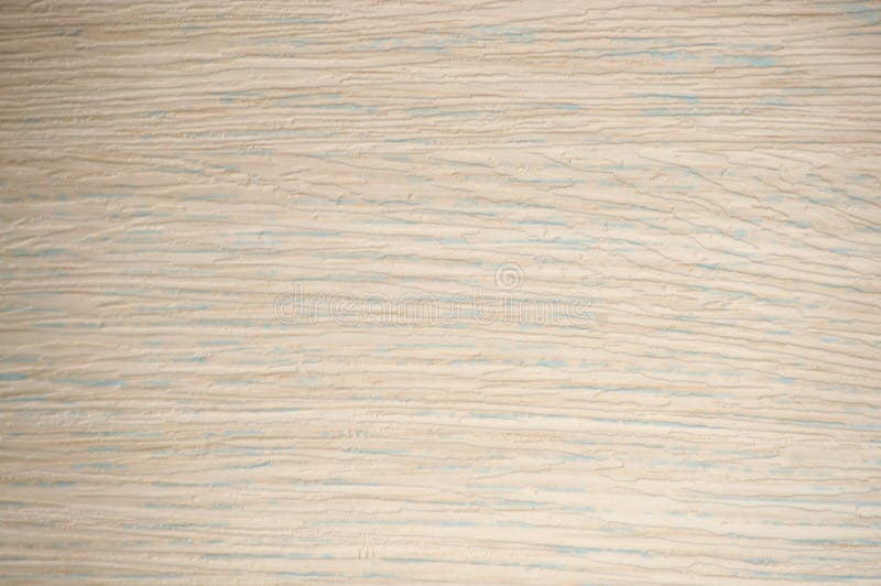 Natural Bleached Oak, Flat Surface of Light Wood on the Cut Stock Photo ...