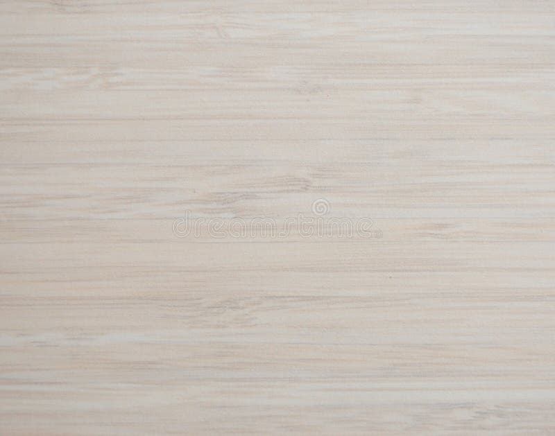 Texture of Bleached Wood Close-up on a Cut. Background. Close Up Shot ...