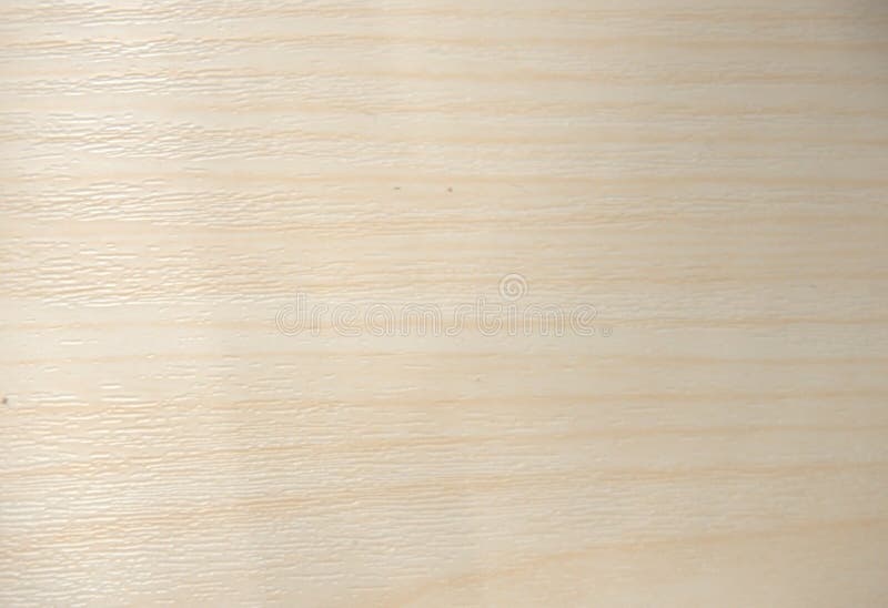 Natural Bleached Wood. Background. Texture. Close Up Shot Stock Photo ...