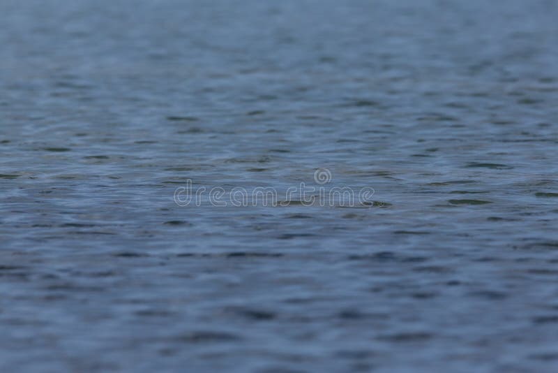 Blue Water Surface with Small Waves in Sunlight Stock Photo - Image of ...