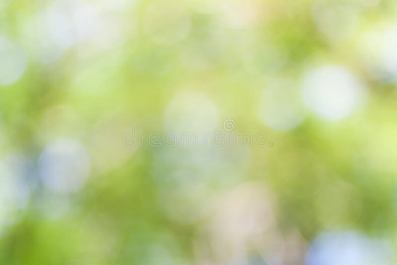 Natural Blur Green Abstract Background Stock Image - Image of green ...