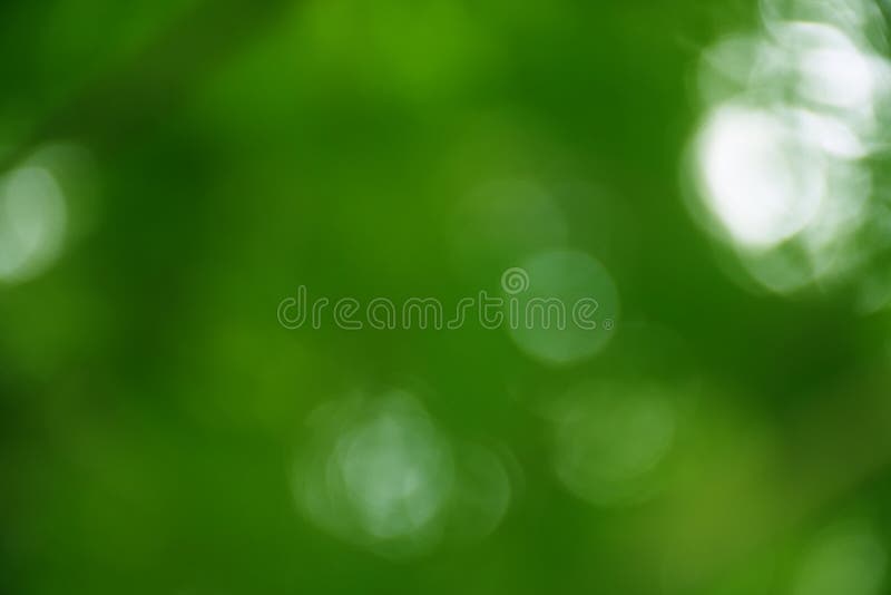 Natural Blurred Green Bokeh for the Background Stock Image - Image of ...