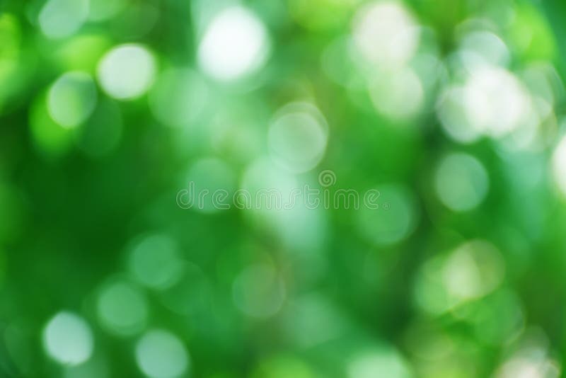 Natural Blurred Green Bokeh for the Background Stock Photo - Image of ...