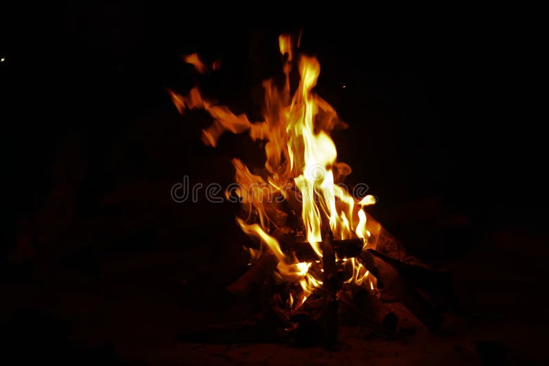Natural Bonfire Burning at Night in the Forest Stock Image - Image of ...