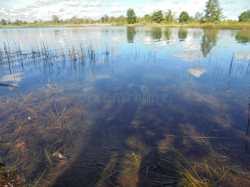Natural Bottom View with Clean Lake Water Stock Image - Image of lake ...