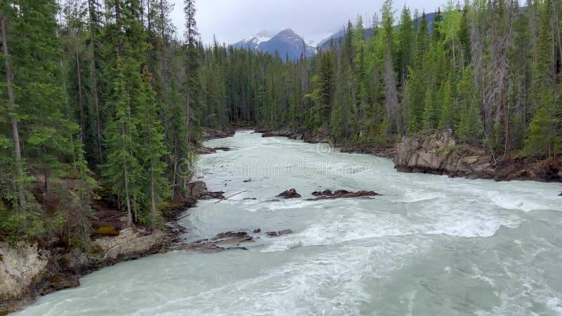 The Natural Bridge Falls in Yoho National Park Stock Video - Video of ... The Natural Bridge Falls in Yoho National Park Stock Video - Video of ...