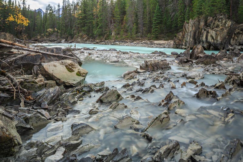 Natural Bridge with Mount Stephen Stock Photo - Image of forest, bridge ...