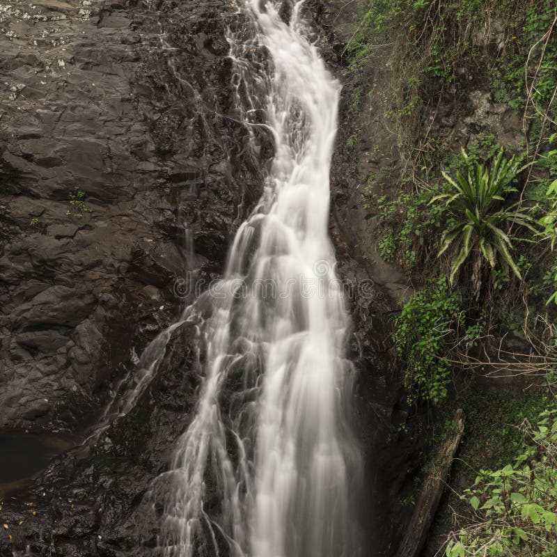 Natural Bridge Waterfall stock photo. Image of national - 88031114