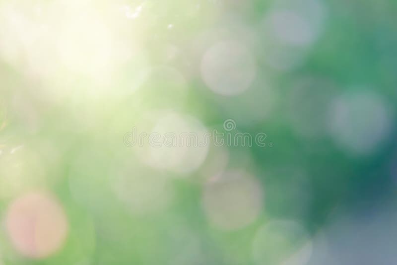 Green Nature Blurred Background Stock Photo - Image of green, abstract ...